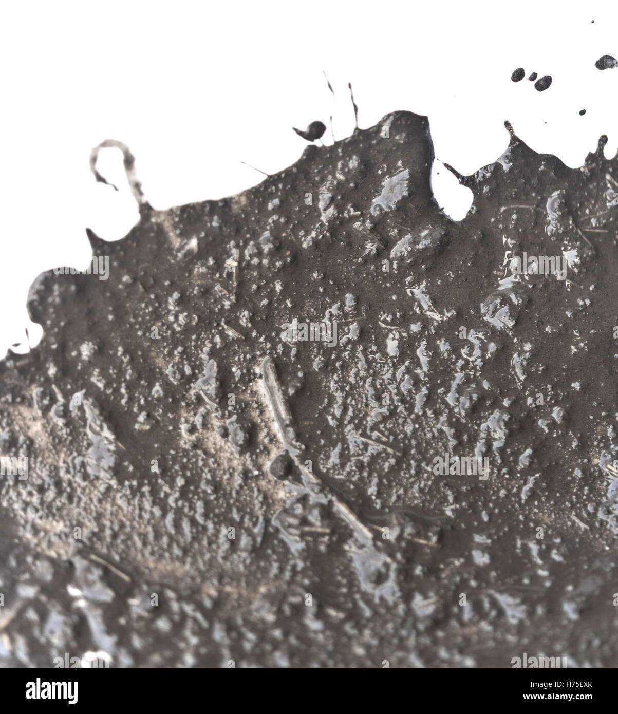 wet mud isolated on white background Stock Photo - Alamy