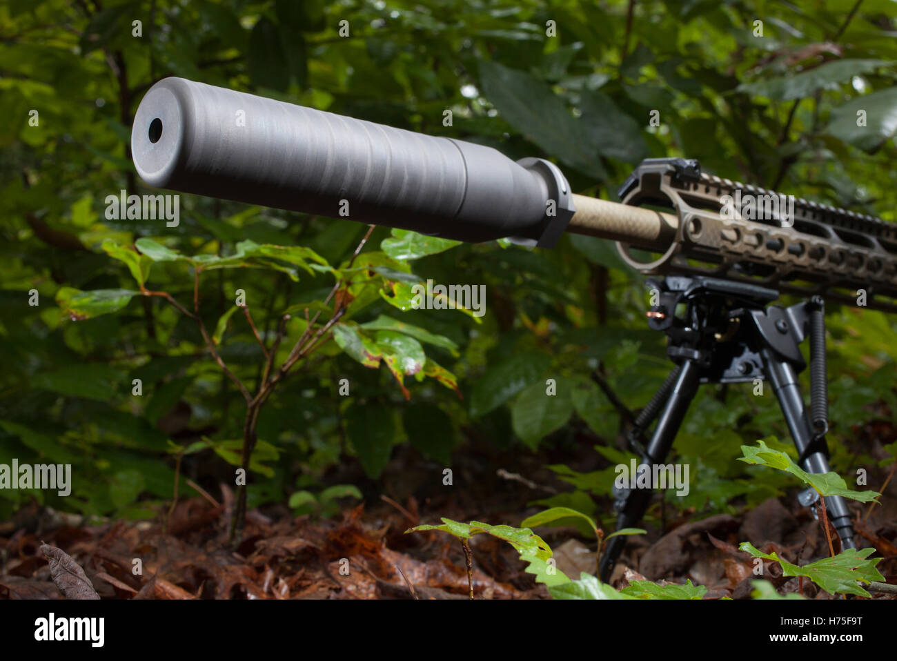 Assault rifle with a silencer in some dense foliage Stock Photo - Alamy