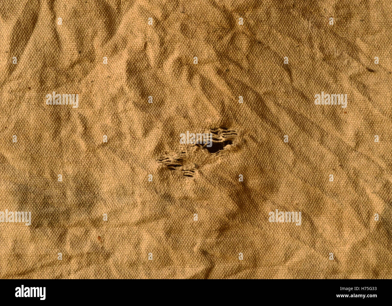 Fabric of the old doormat. Close-up Stock Photo - Alamy