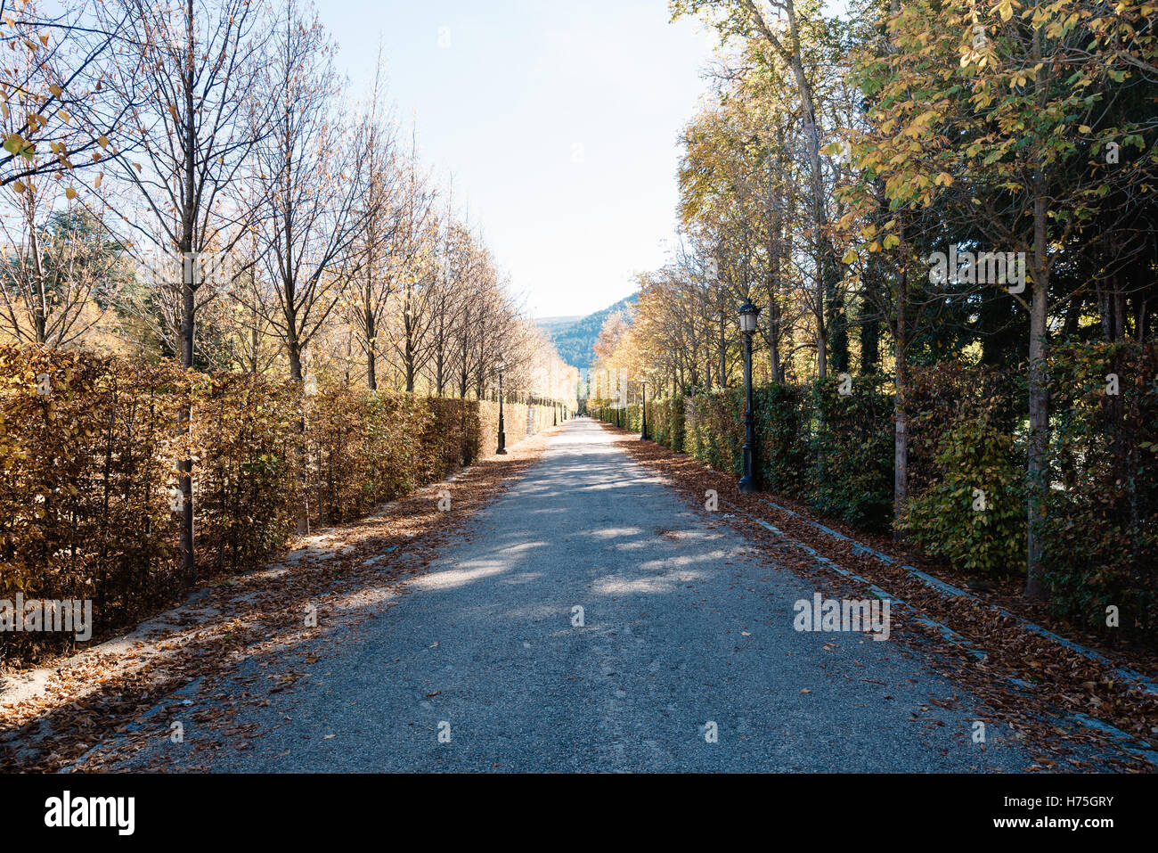 Pathway in autumn a sunny day in the Park of Royal Palace of La Granja ...
