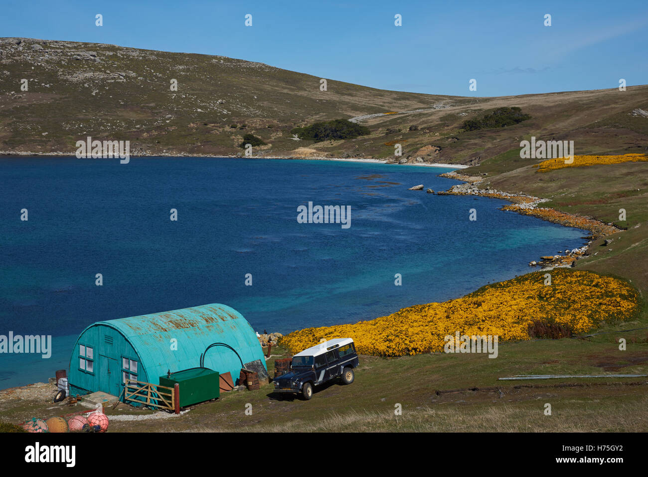 Falklands island hi-res stock photography and images - Alamy