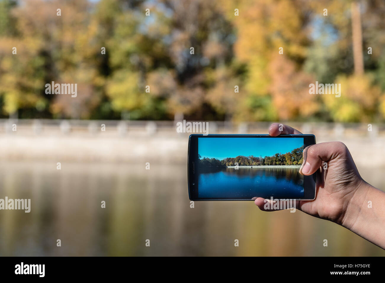 Woman hand holding a cell phone against landscape in autumn. Focus on ...