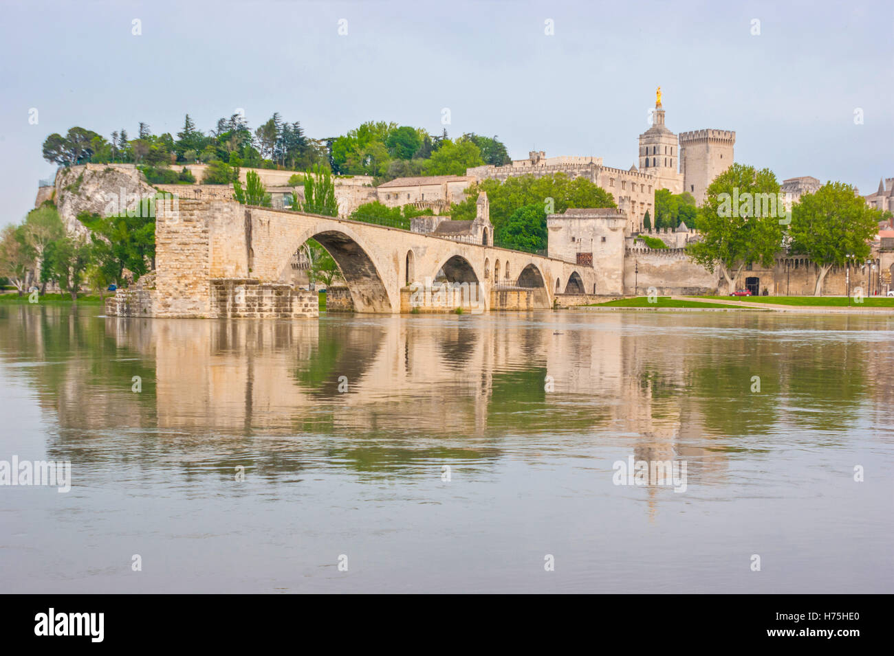 The view on medieval Avignon's landmarks from another side of a Rhone ...