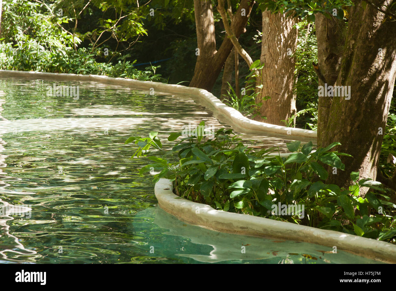 Water jungle woman paradise pool hi-res stock photography and images ...