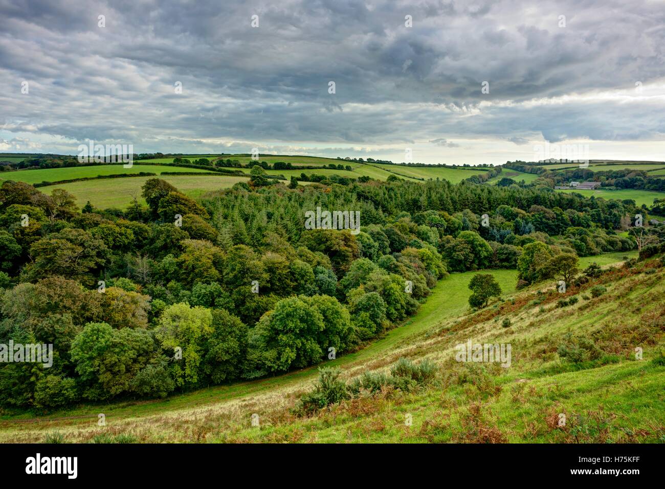 A landscape picture across the green tree lined valley to distant hills ...