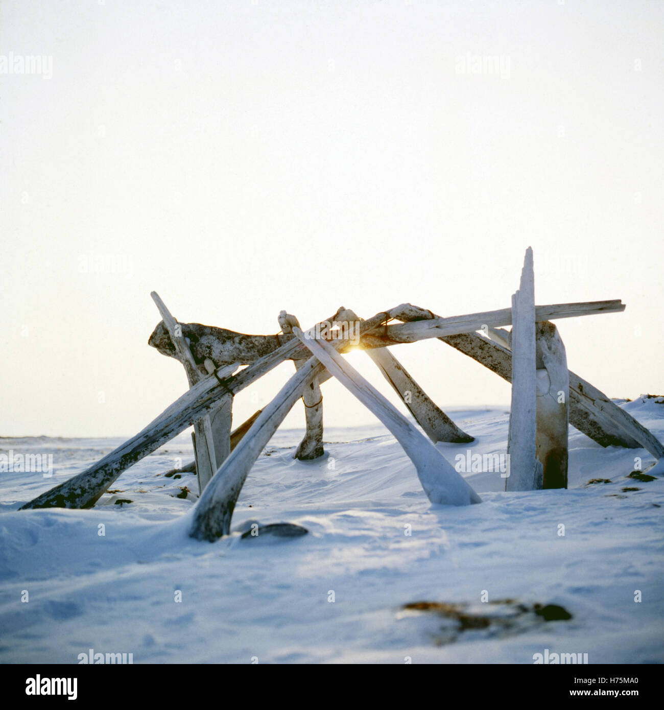 Ancient Thule Whale Bone Shelter Stock Photo - Alamy