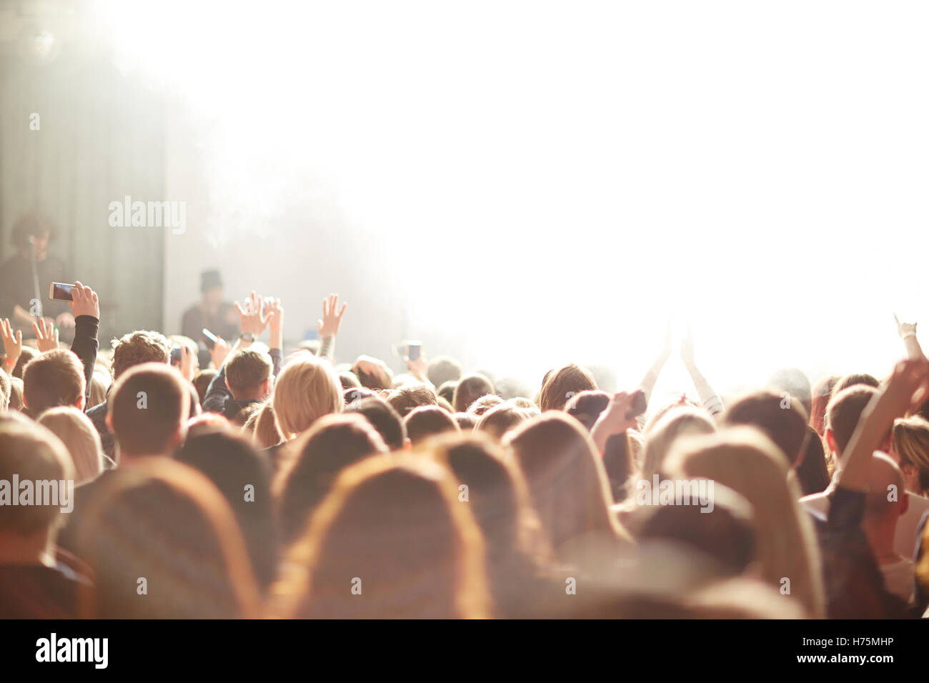 Crowd of fans Stock Photo - Alamy