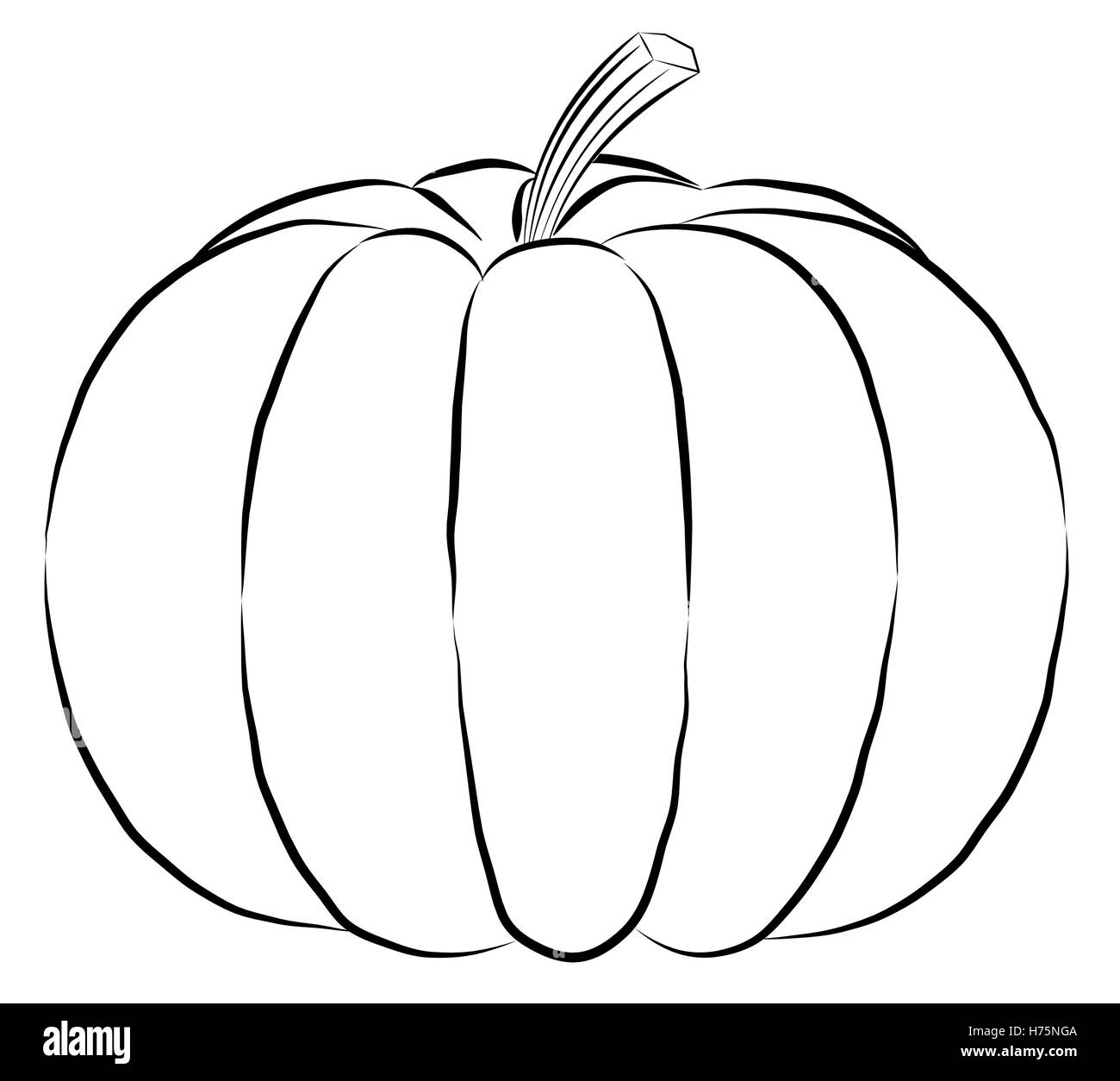 outline pumpkin black fine lines and spine Vector black silhouette ...