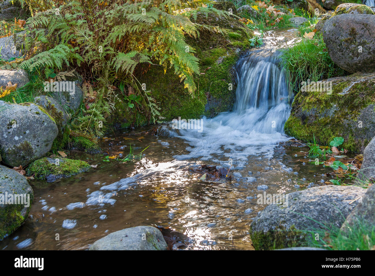 Waterfall pond in autumn hi-res stock photography and images - Alamy