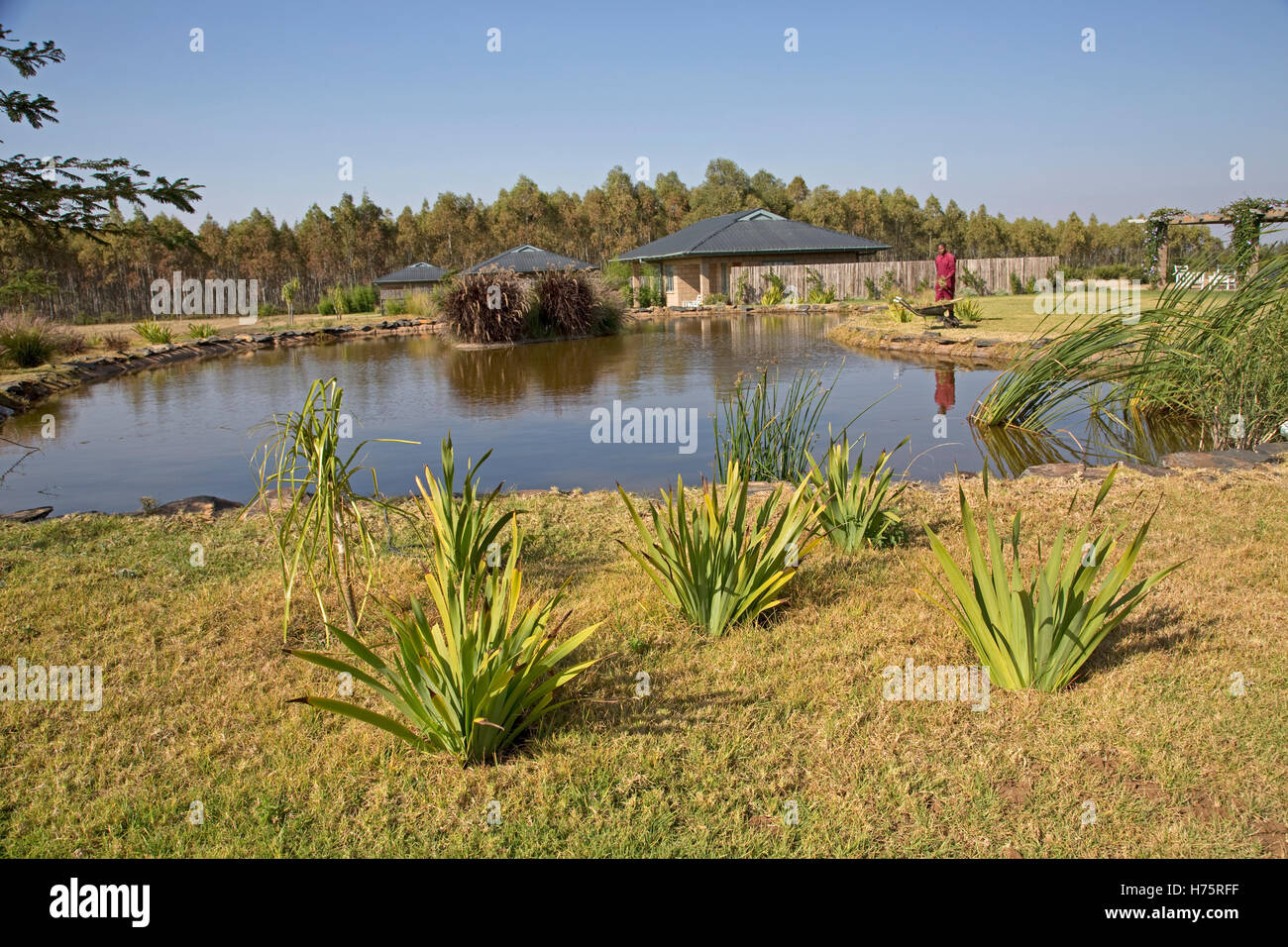 Water feature at Soames Hotel & Jack' s Bar Nanuki Kenya Stock Photo ...