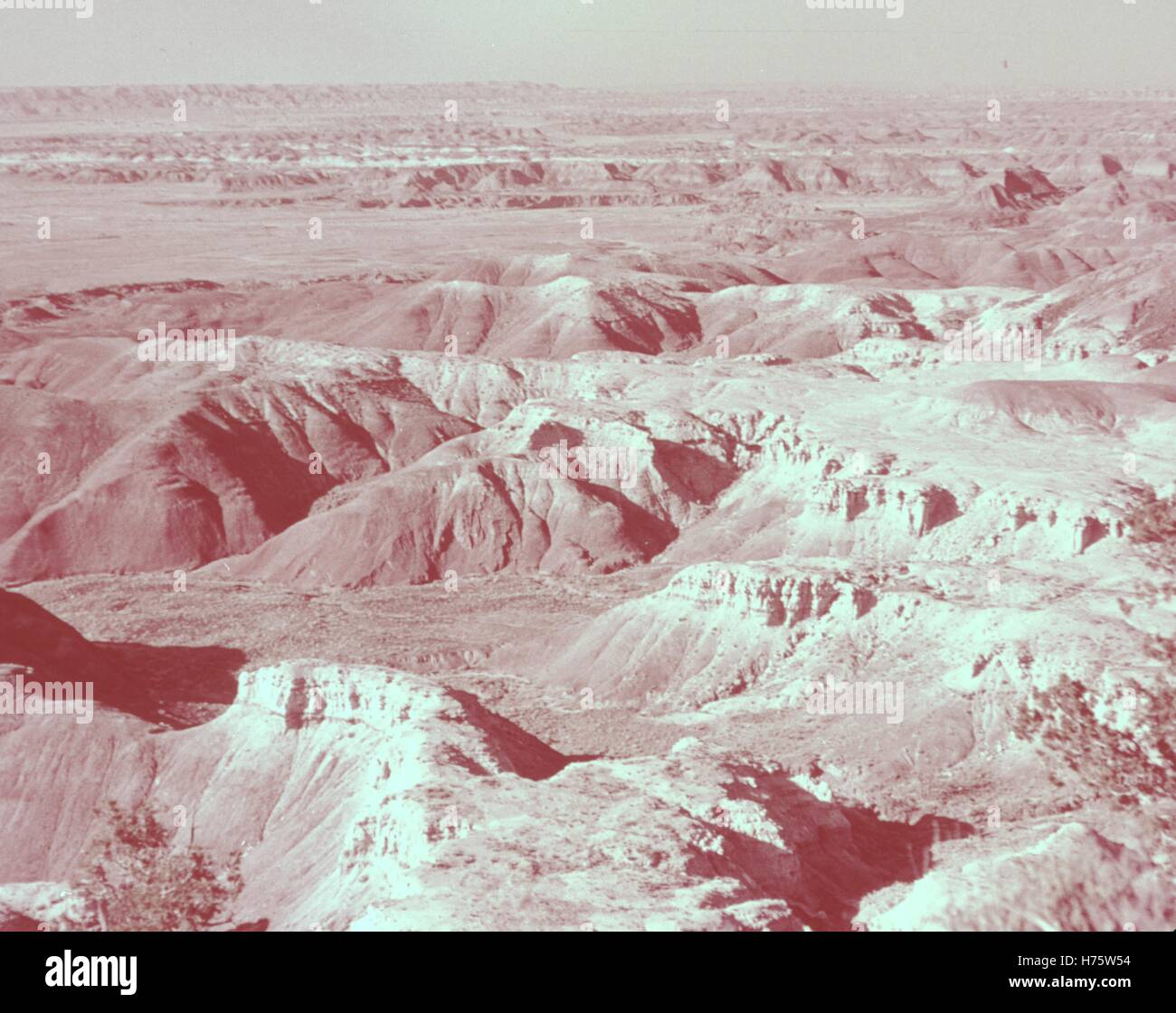 Vintage archival photograph taken in 1953 Stock Photo - Alamy