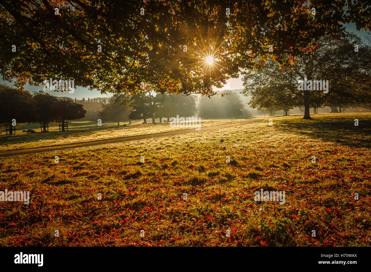 Autumn scenes in and around Castle Howard, North Yorkshire Stock Photo ...