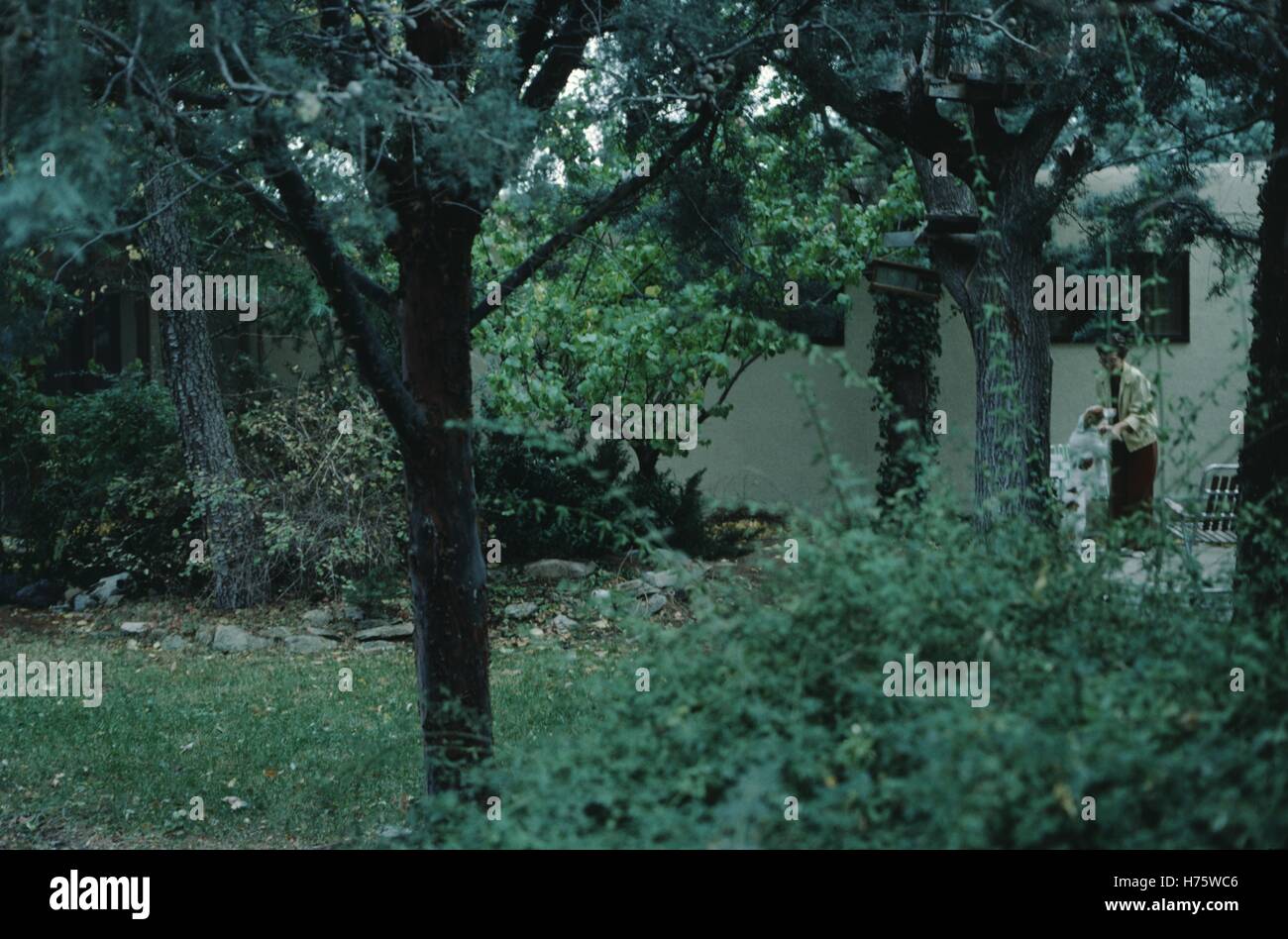 Vintage archival photograph taken in 1969 Stock Photo - Alamy