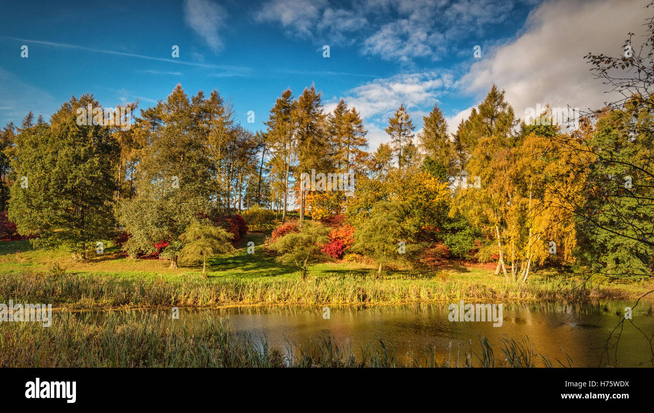 Autumnal scene in North Yorkshire, UK Stock Photo - Alamy