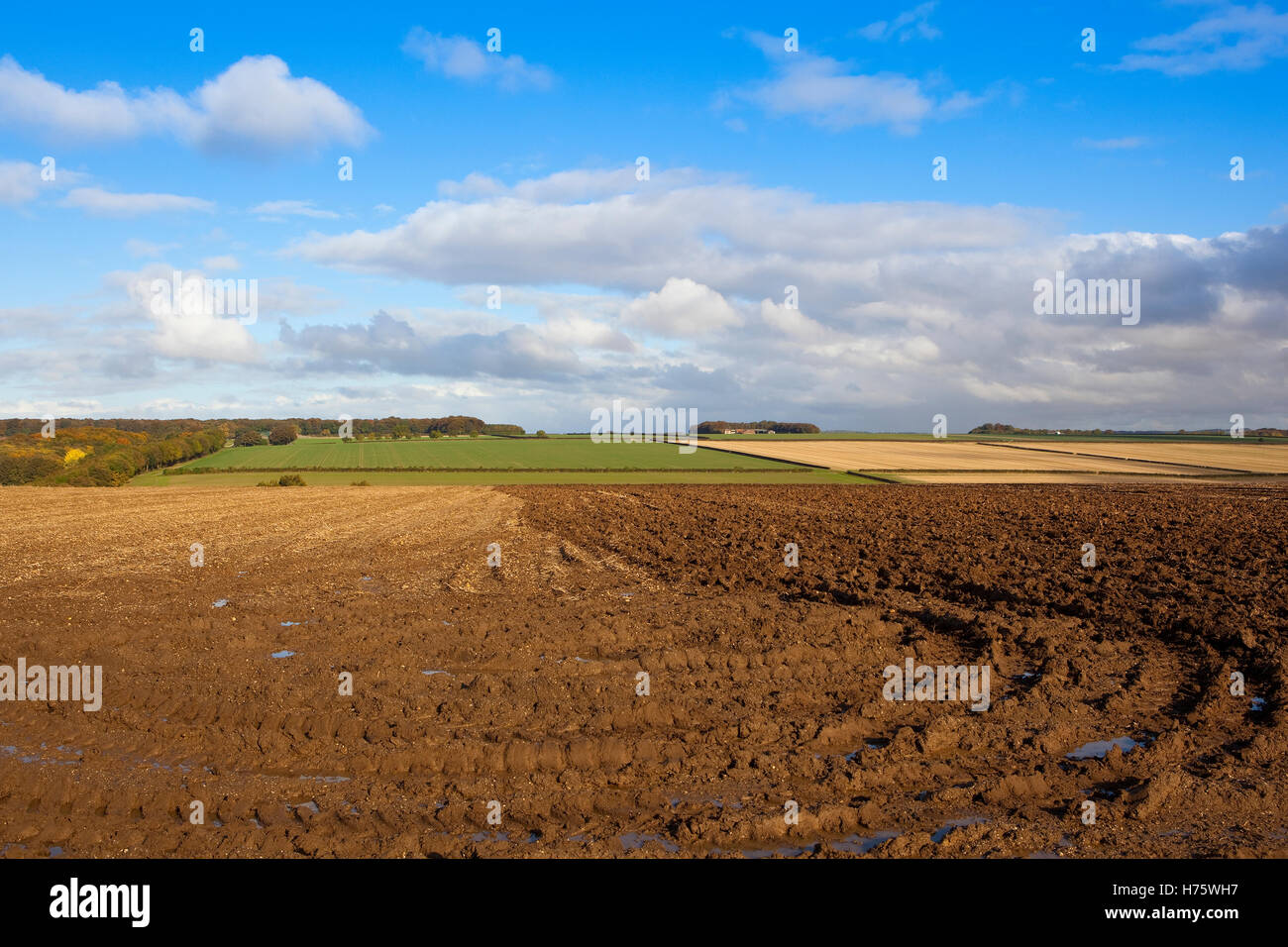 A muddy partially plowed field in a hillside agricultural landscape on ...