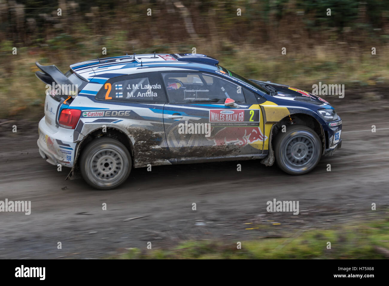 Jari Matti Latvala taking part in Wales Rally GB on the Alwen stage ...