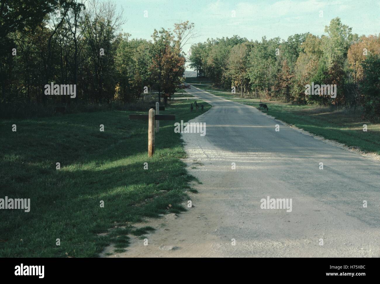 Vintage archival photograph taken in 1969 Stock Photo - Alamy