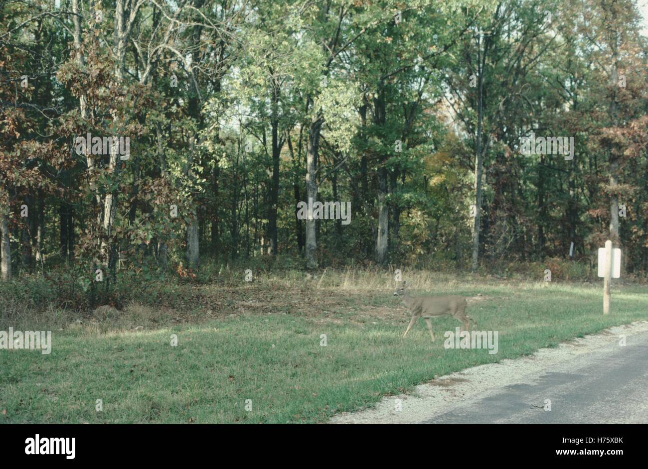 Vintage archival photograph taken in 1969 Stock Photo - Alamy