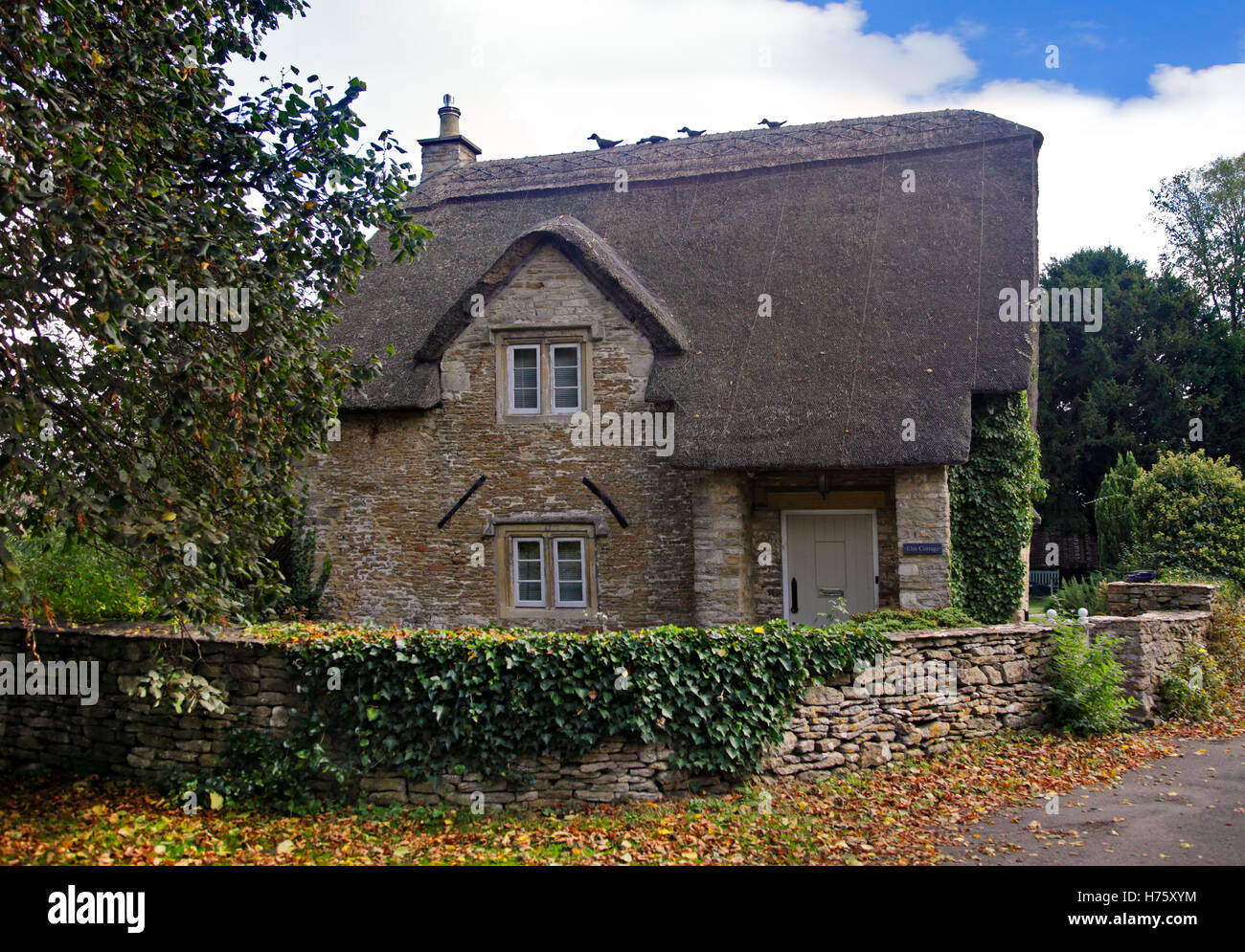 Elm Cottage High Resolution Stock Photography and Images - Alamy
