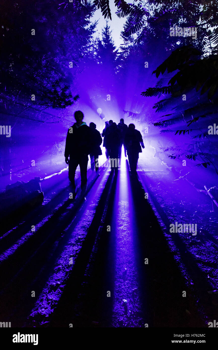 People Walking In Park At Night