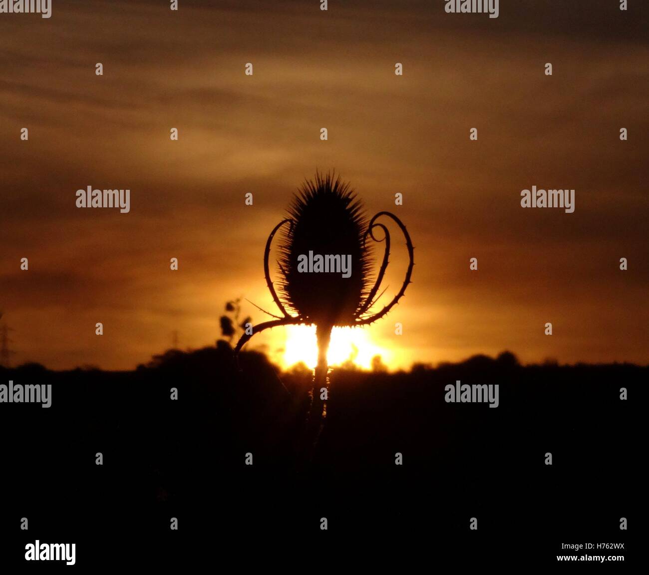 sunset twilight dusk Stock Photo - Alamy