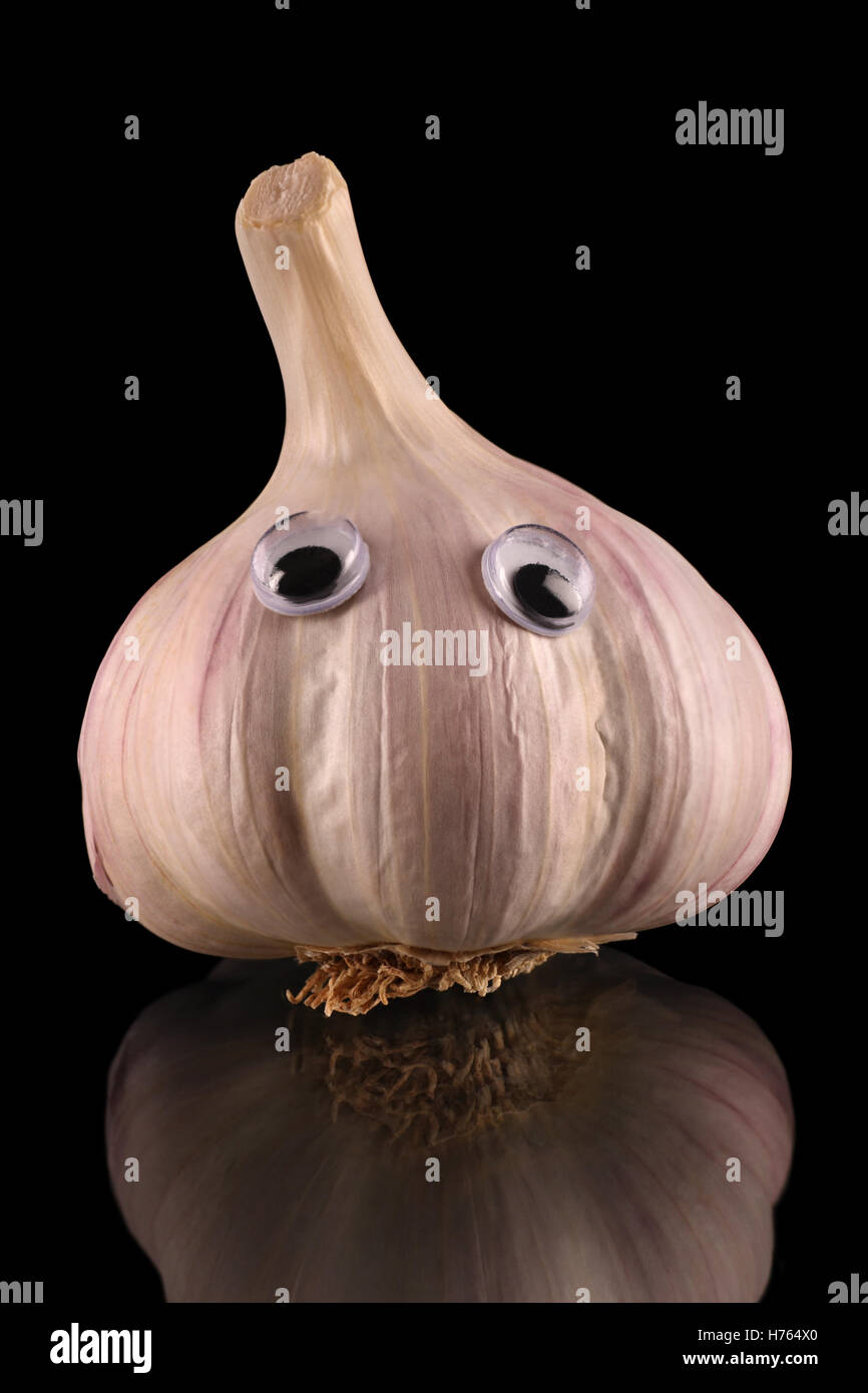Garlic bulb with funny face on a reflective surface, isolated on a ...