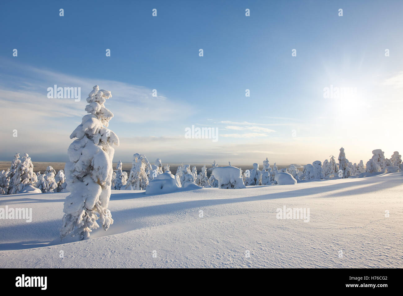 Sunny winter landscape in Lapland Stock Photo - Alamy