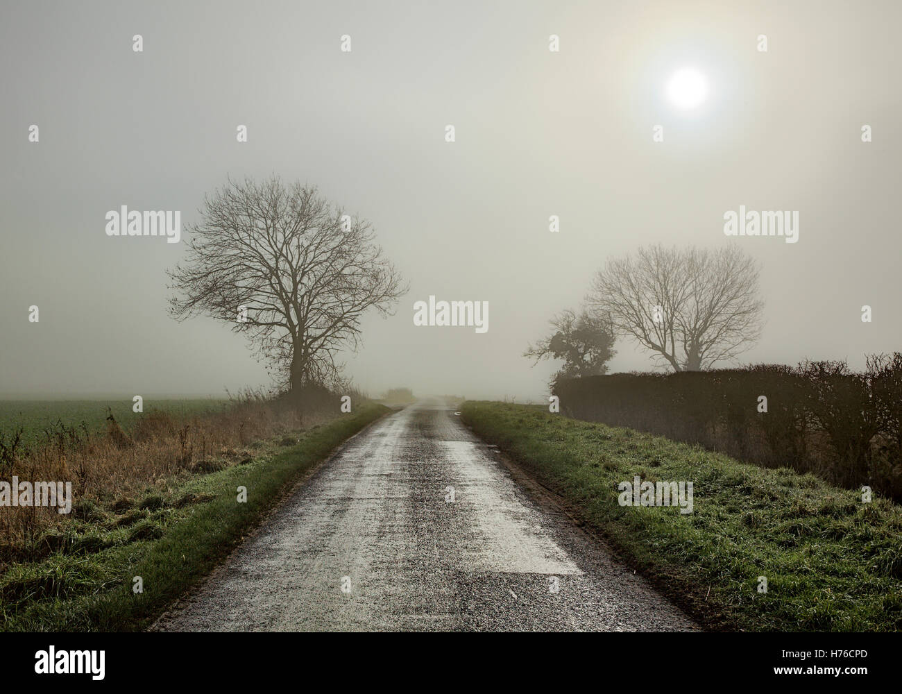 Country road in fog with sun showing through Stock Photo - Alamy