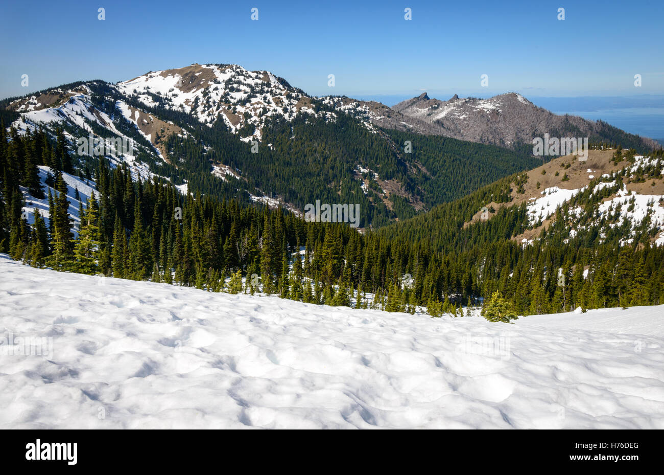 Olympic National Park Stock Photo - Alamy