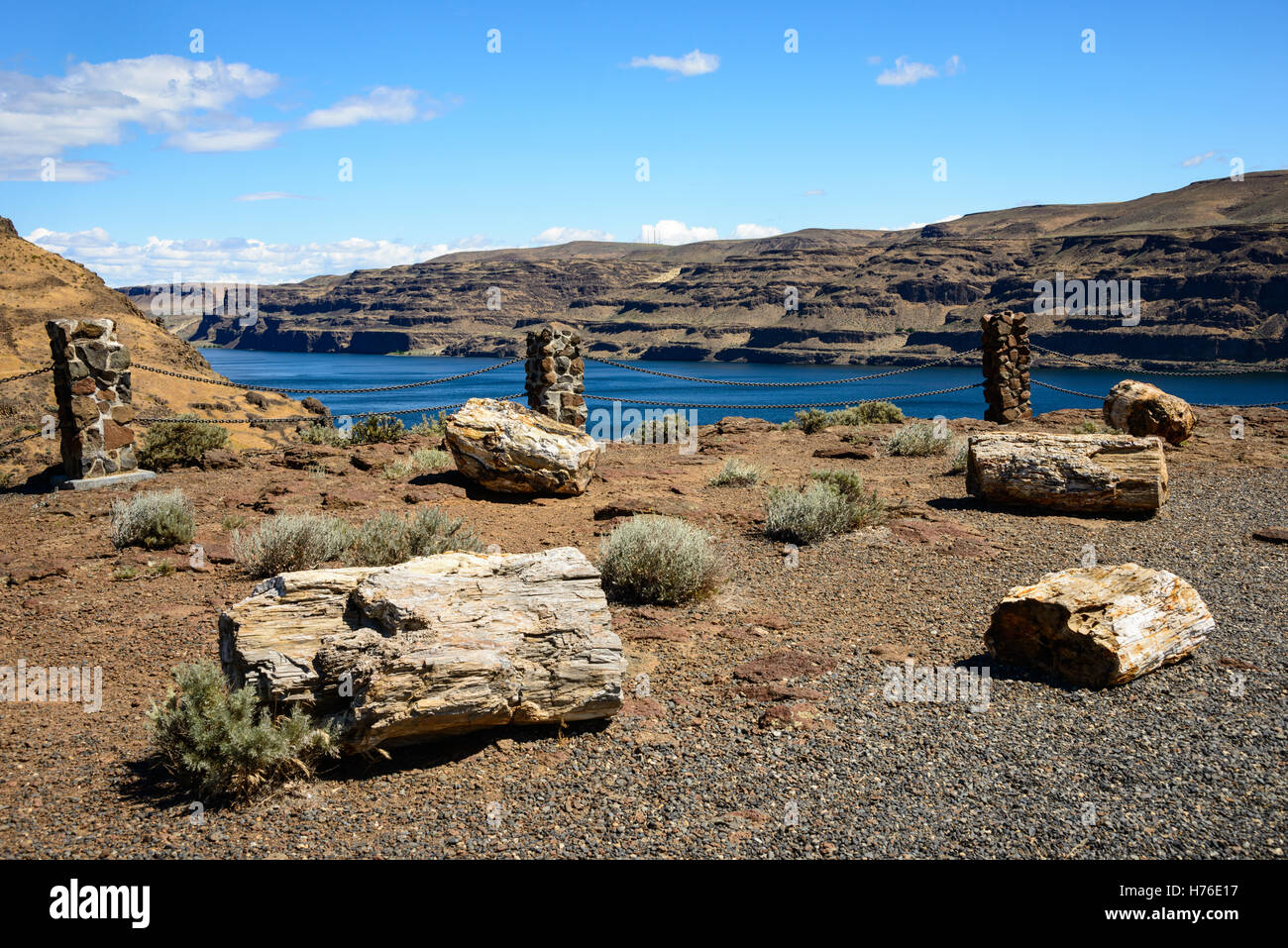 Ginkgo Petrified Forest State Park Stock Photo - Alamy