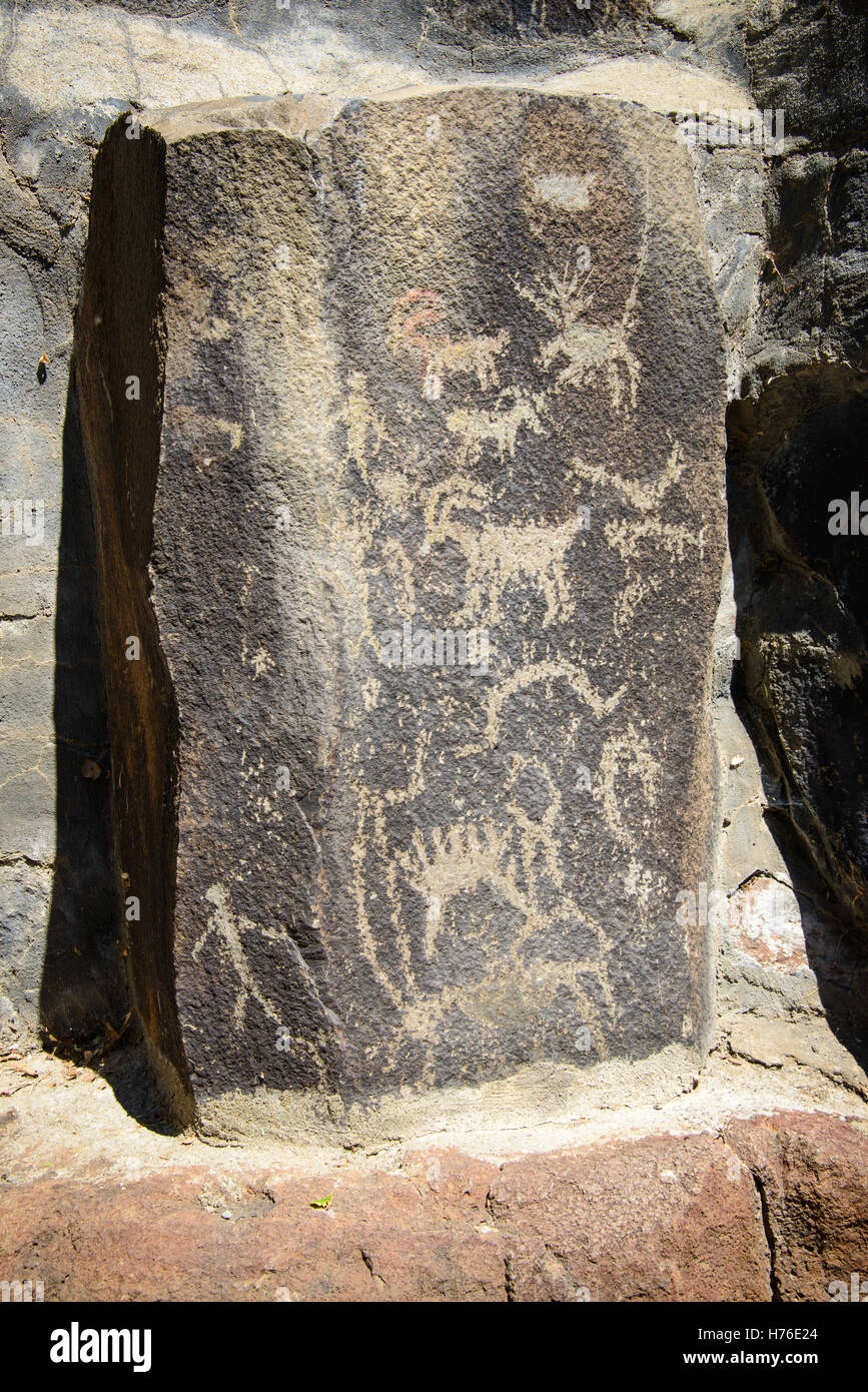 Ginkgo Petrified Forest State Park Stock Photo - Alamy