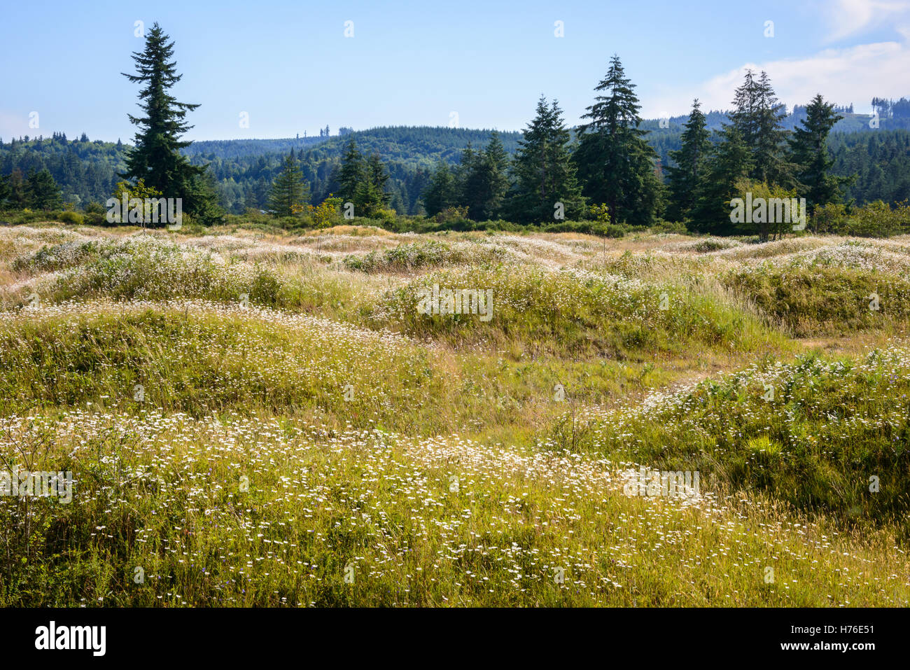Preserve area hi-res stock photography and images - Alamy