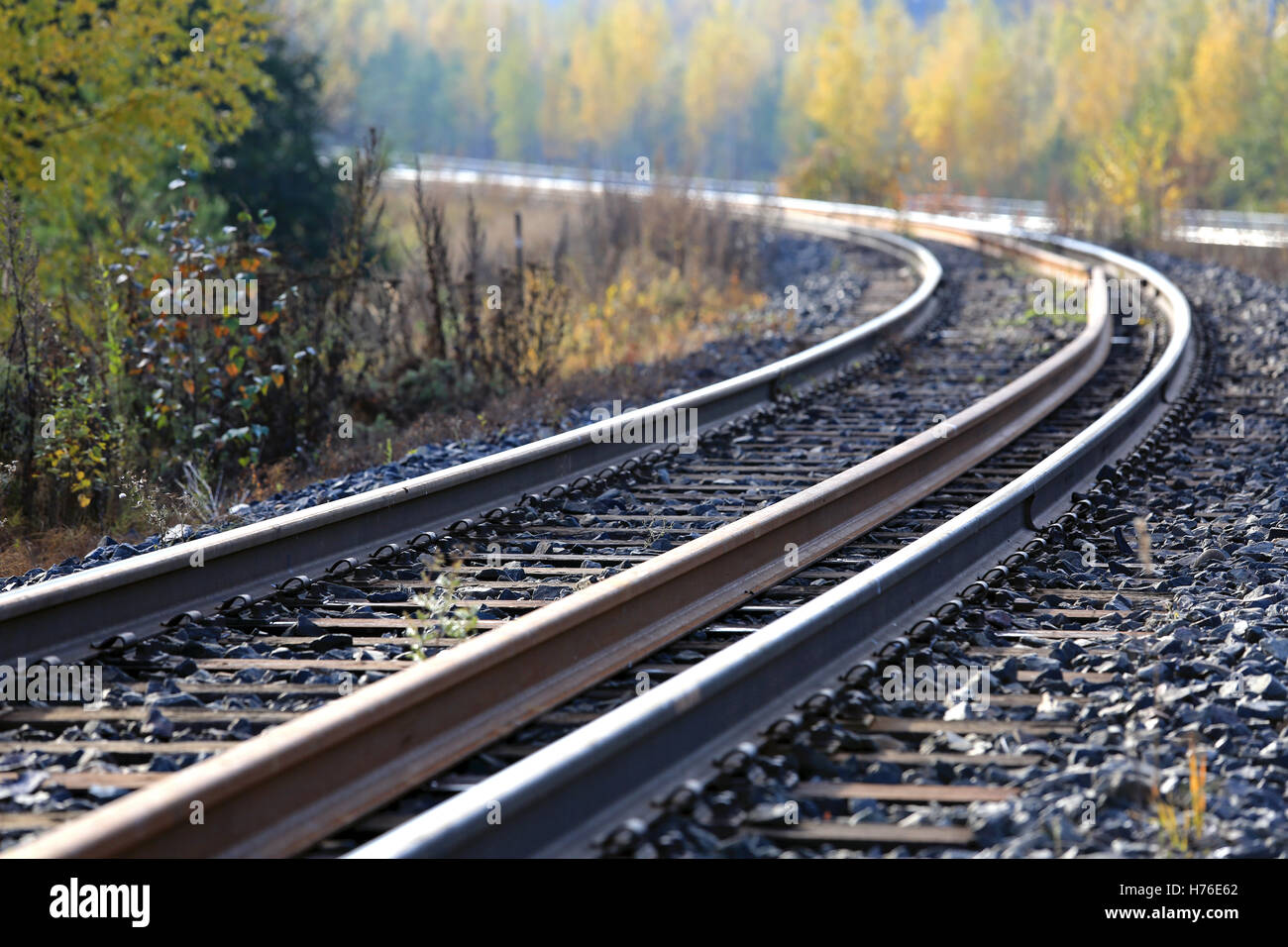 Railroad tracks in autumn close up, shallow depth of field Stock Photo ...