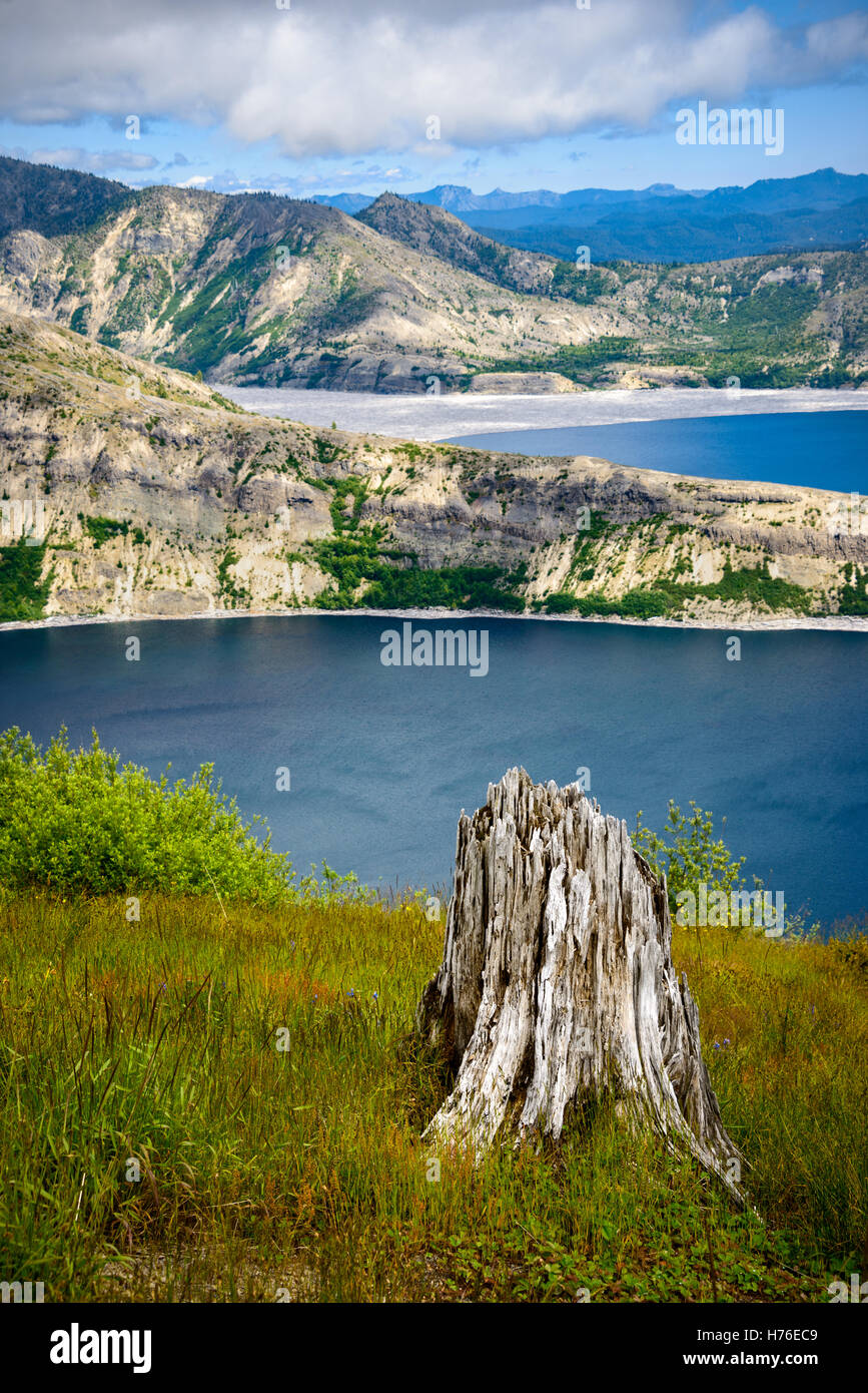 Mount St. Helens National Volcanic Stock Photo - Alamy