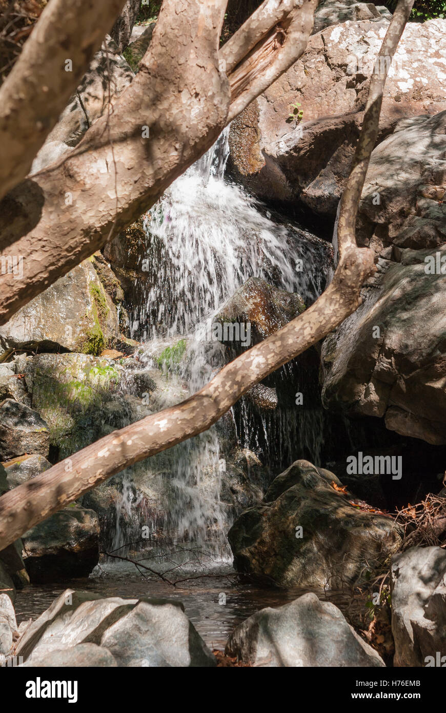 White river cyprus hi-res stock photography and images - Alamy