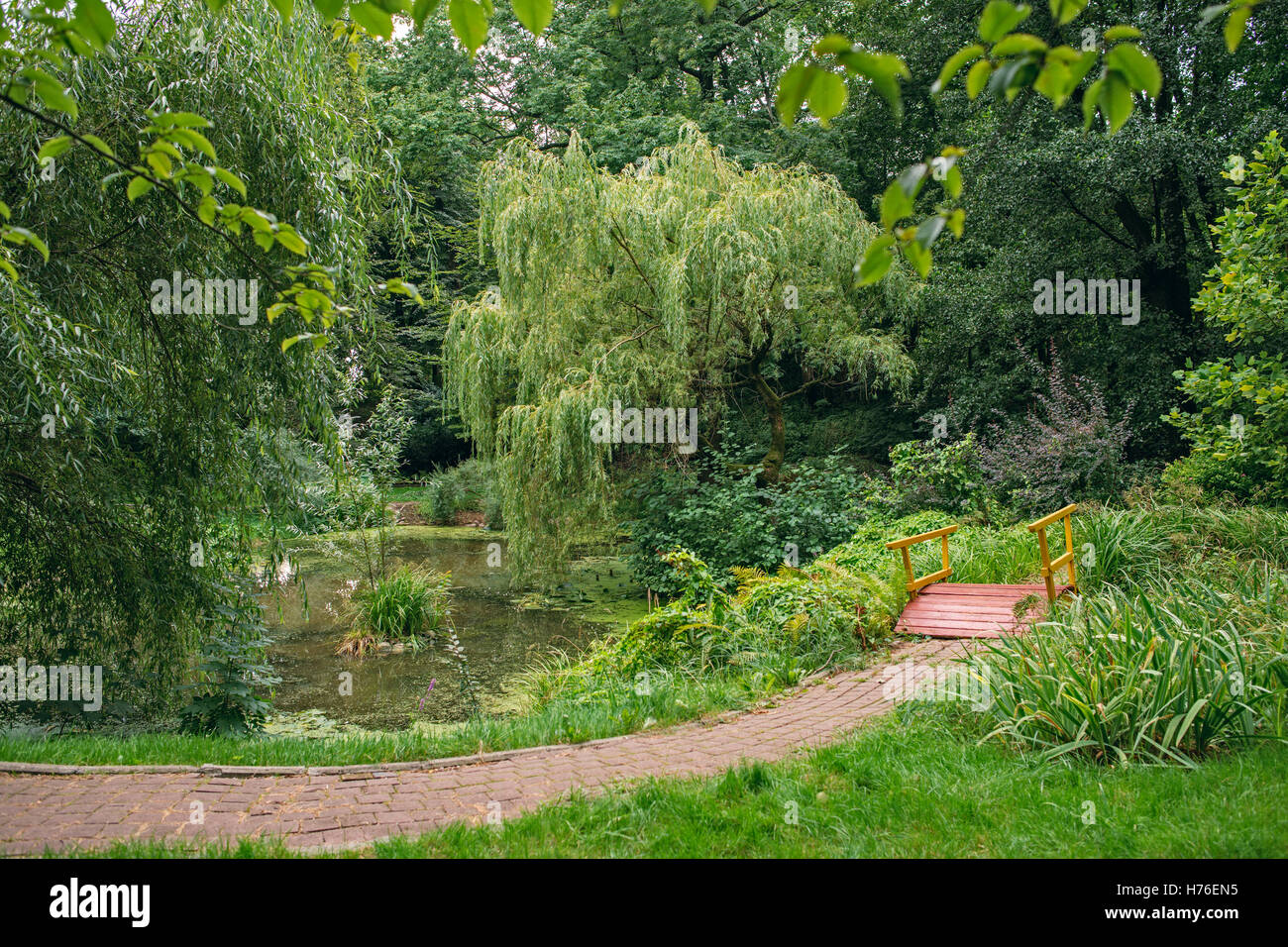Landscaped park with a pond Stock Photo - Alamy