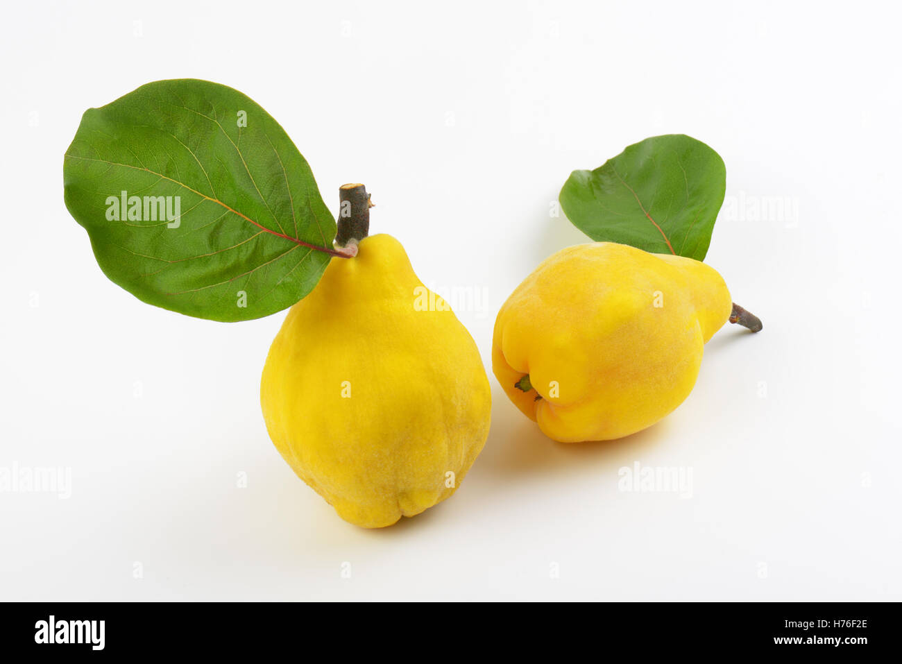 two yellow pears on white background Stock Photo - Alamy
