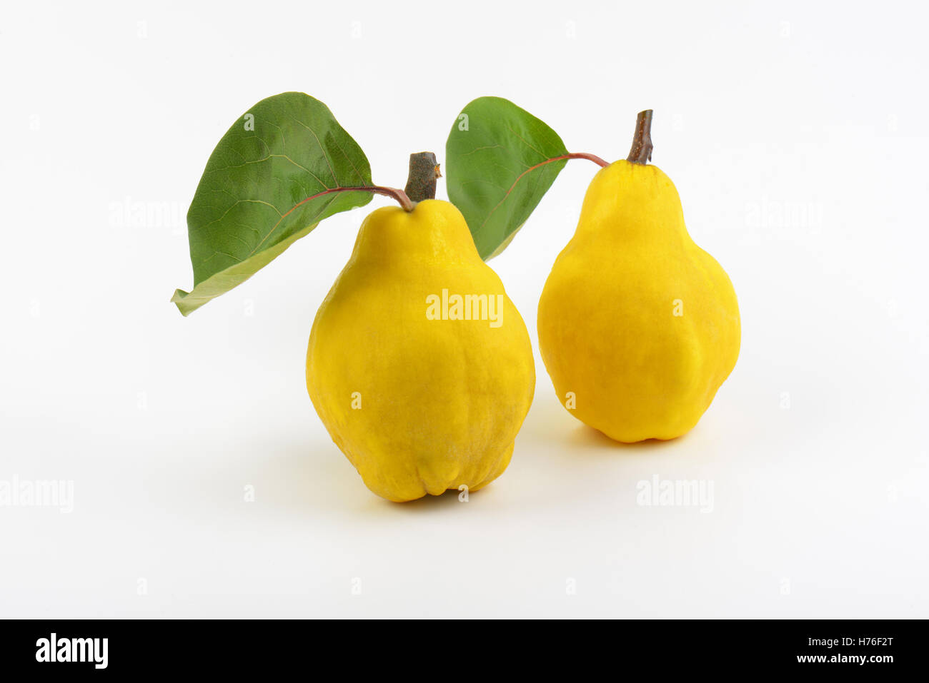 two yellow pears on white background Stock Photo - Alamy