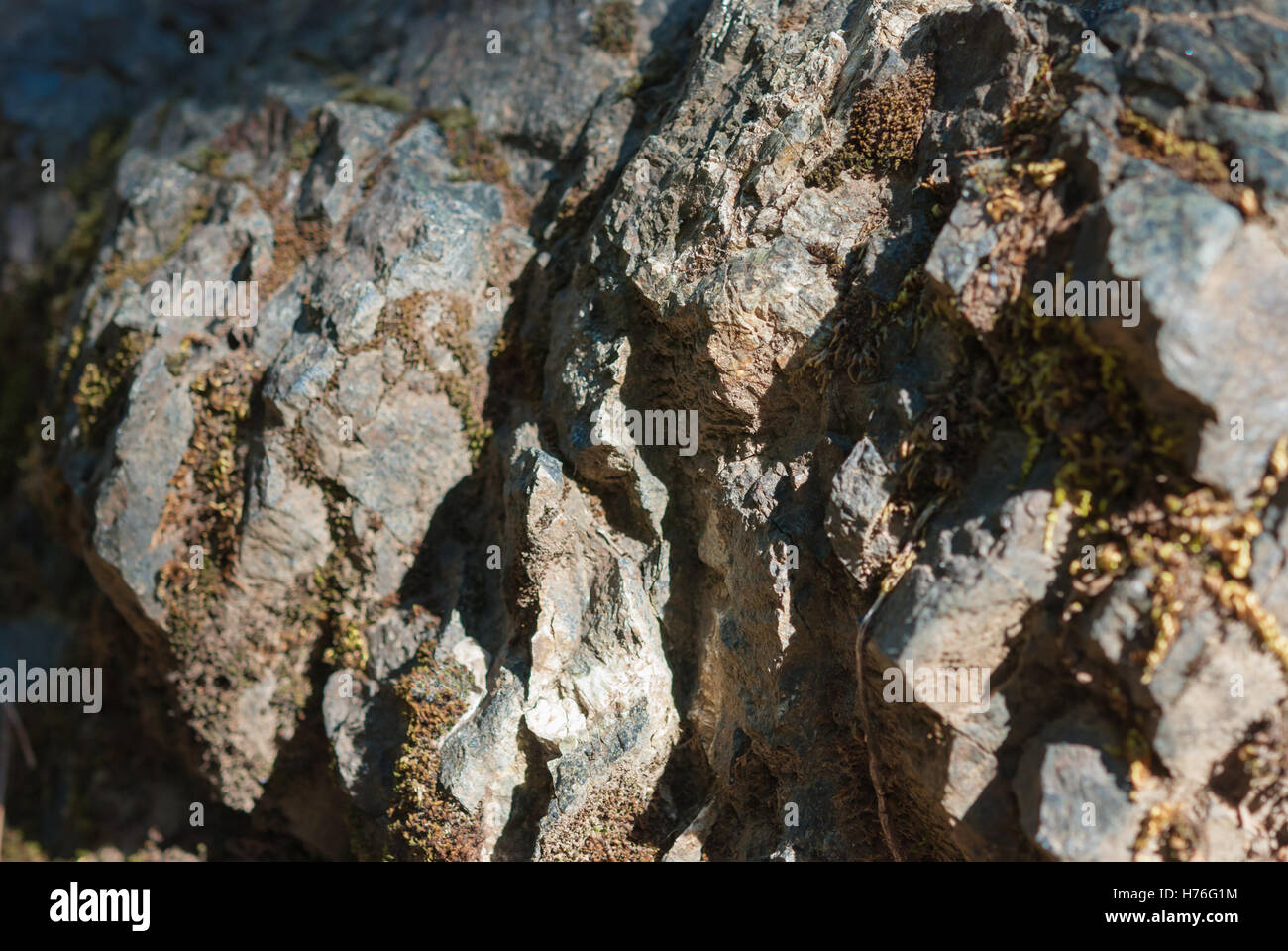 Rough grey rock with a moss as a textured background. Troodos. Cyprus ...