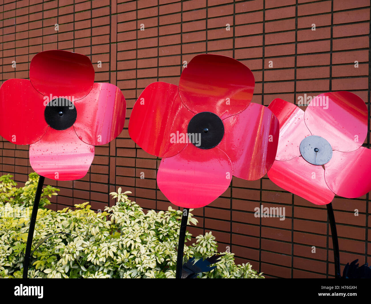Metal poppy models Stock Photo - Alamy