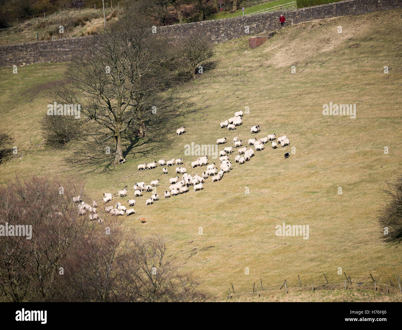 Very steep slope hi-res stock photography and images - Alamy