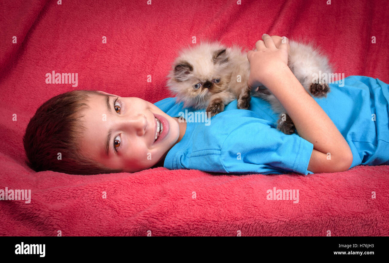 Colorpoint persian colourpoint hi-res stock photography and images - Alamy