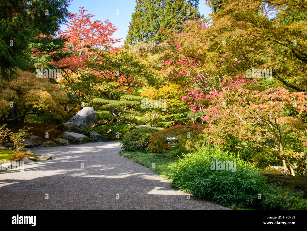Madison park hi-res stock photography and images - Alamy