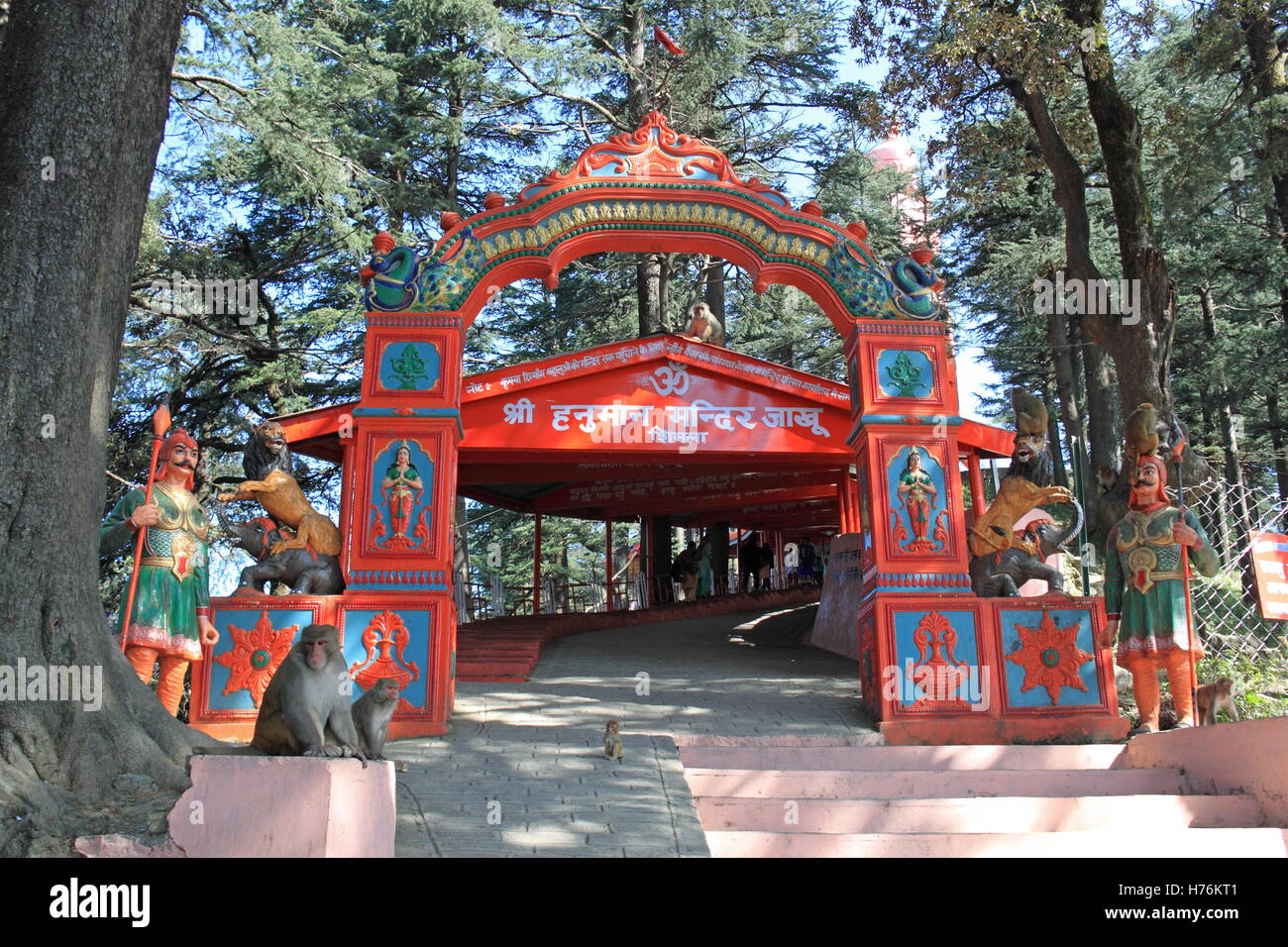 Rhesus macaques (Macaca mulatta), Jakhoo Temple entrance, Shimla, Himachal Pradesh, India ...