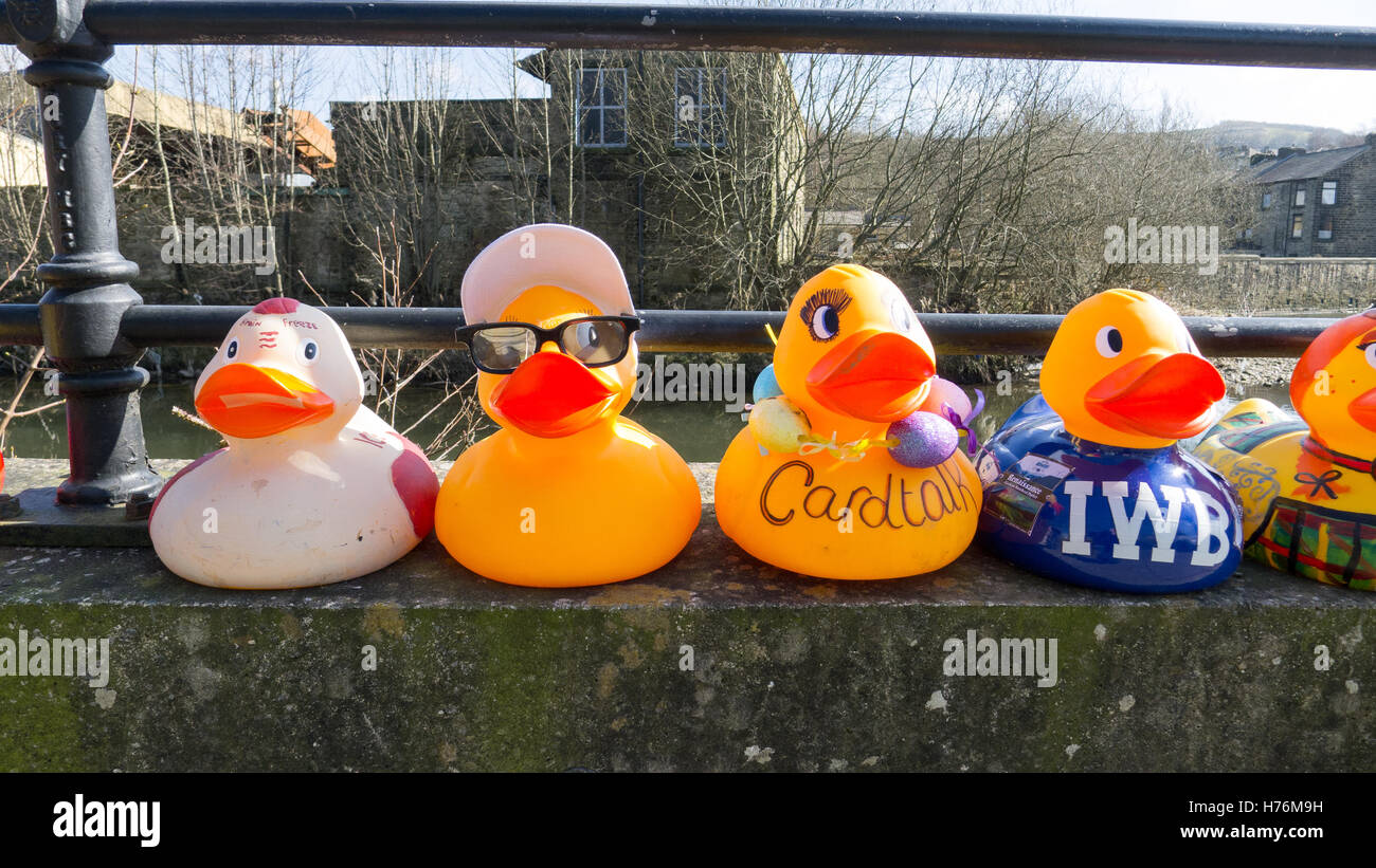 Sponsored plastic ducks Stock Photo - Alamy