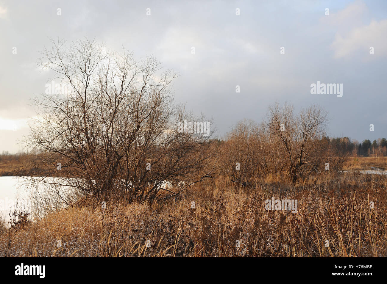 Landscape field grass hi-res stock photography and images - Alamy