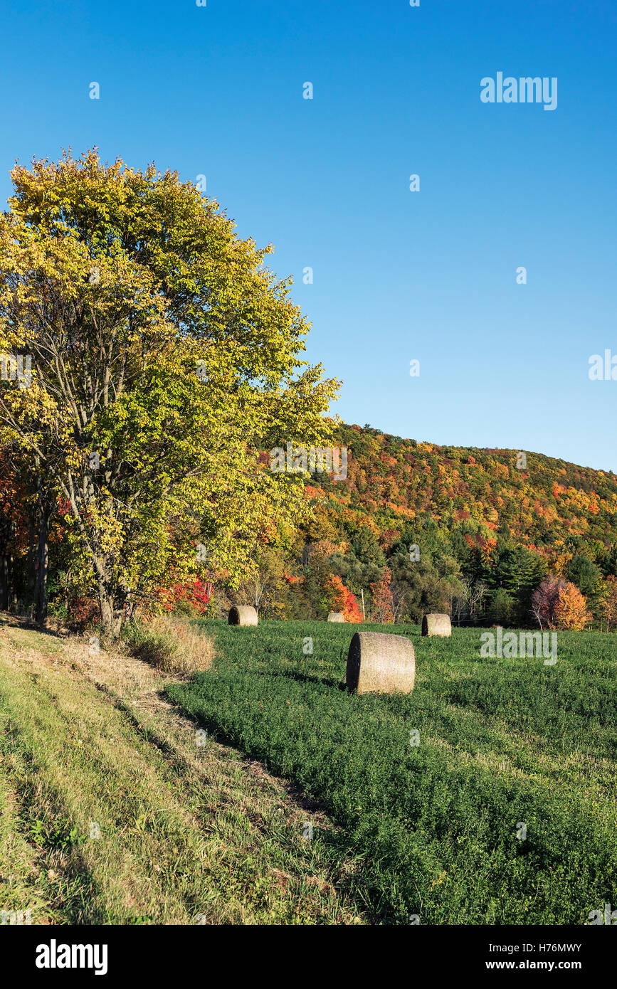 Rural cornwall countryside hi-res stock photography and images - Alamy