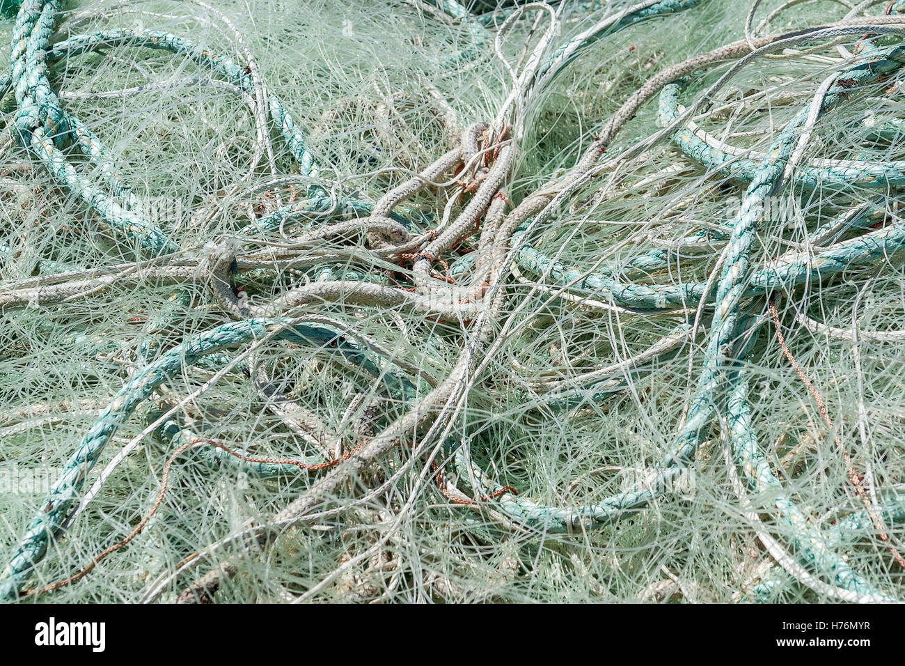 Entangled fish hi-res stock photography and images - Alamy