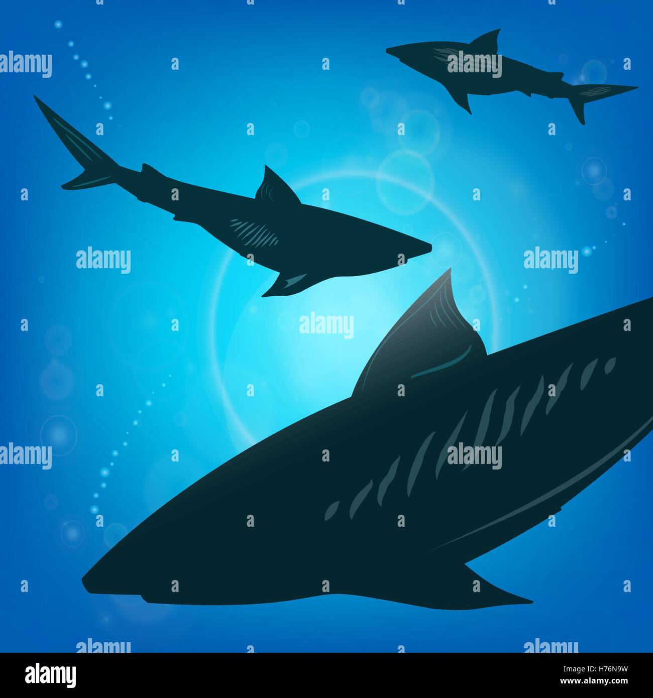 Sharks under water. Fish in ocean, animal nature life, swimming ...