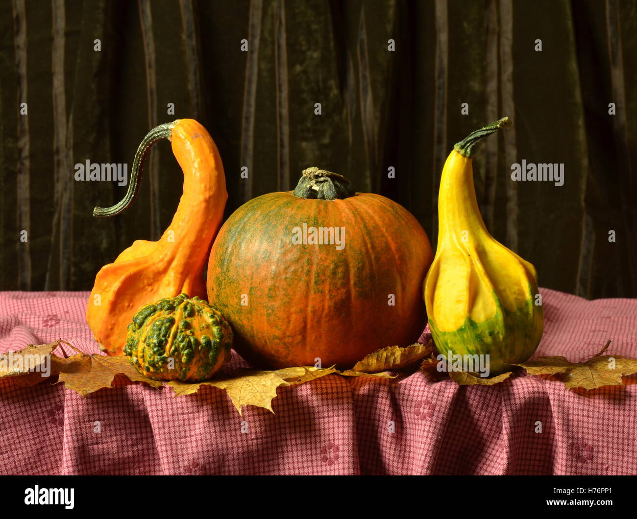 still life pumpkins on table on autumn leaves Stock Photo - Alamy